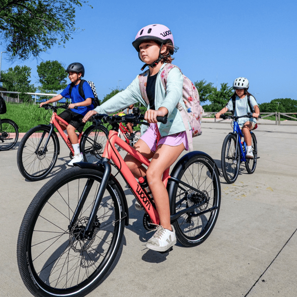 Fully Equipped Bikes